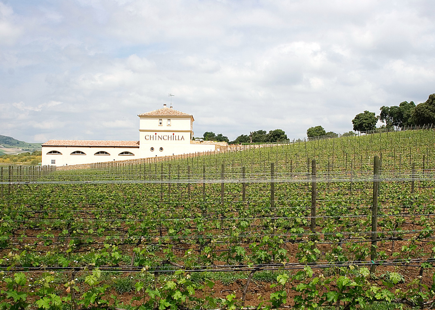 Bodega 4.0 Digitalización del sector del vino. Bodegas Doña Felisa